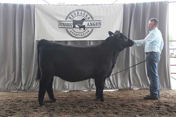 Nebraska Angus Association